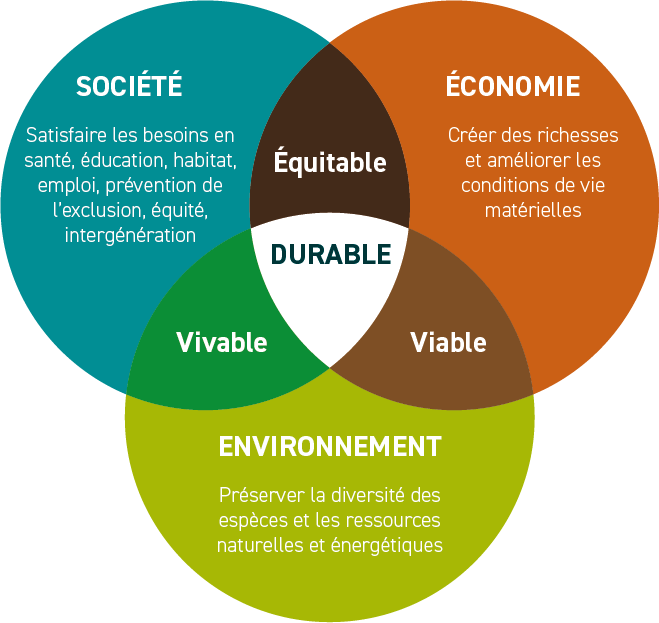 Pourquoi effectuer une démarche RSE ? – Finance-ligne.com